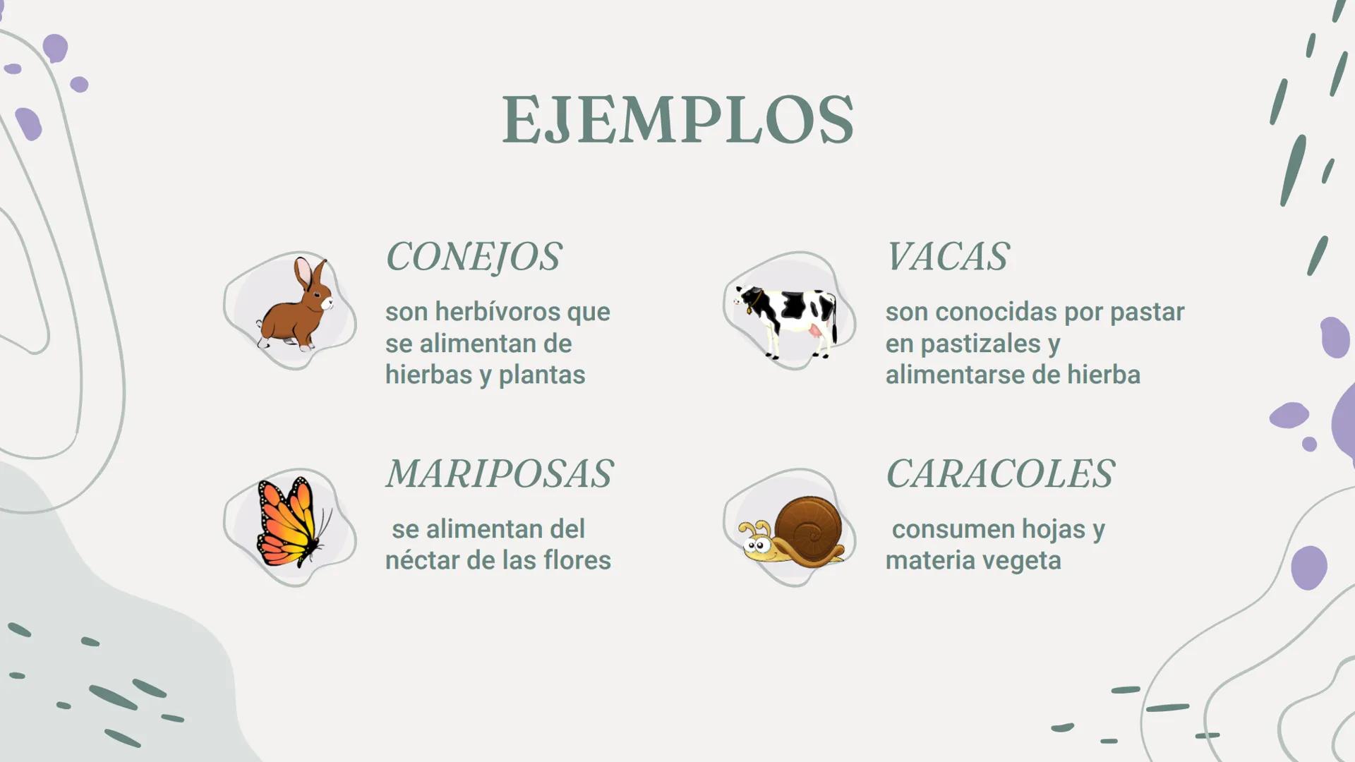 Consumidores Primarios, Secundarios y Terciarios en la Cadena ...